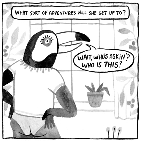 Tuca the Toucan: Single Female Toucan | Hazlitt